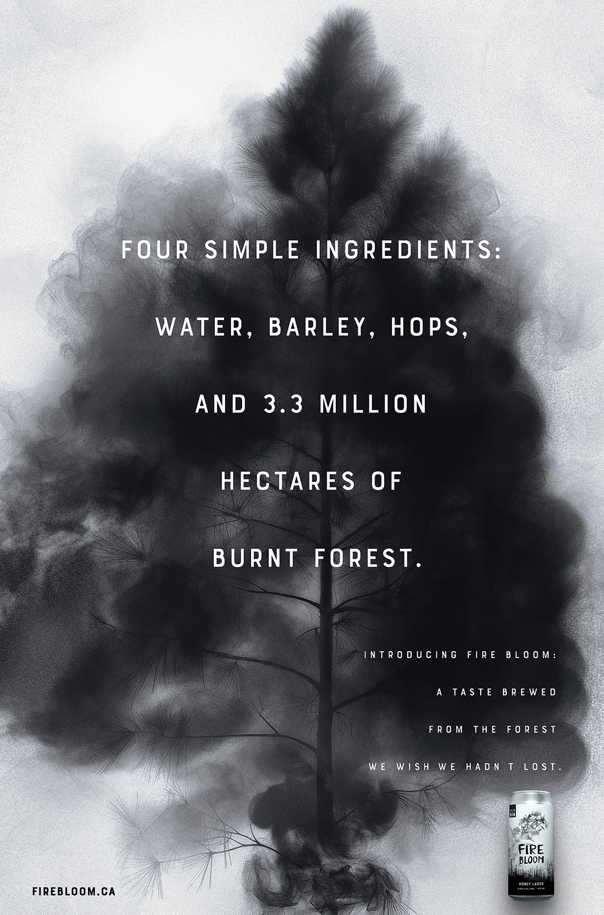 Fire Bloom - ACT in Cannes